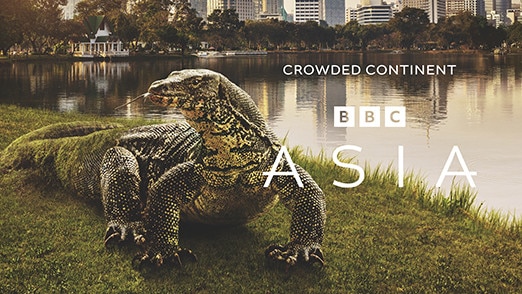 BBC Series Asia | BBC Earth